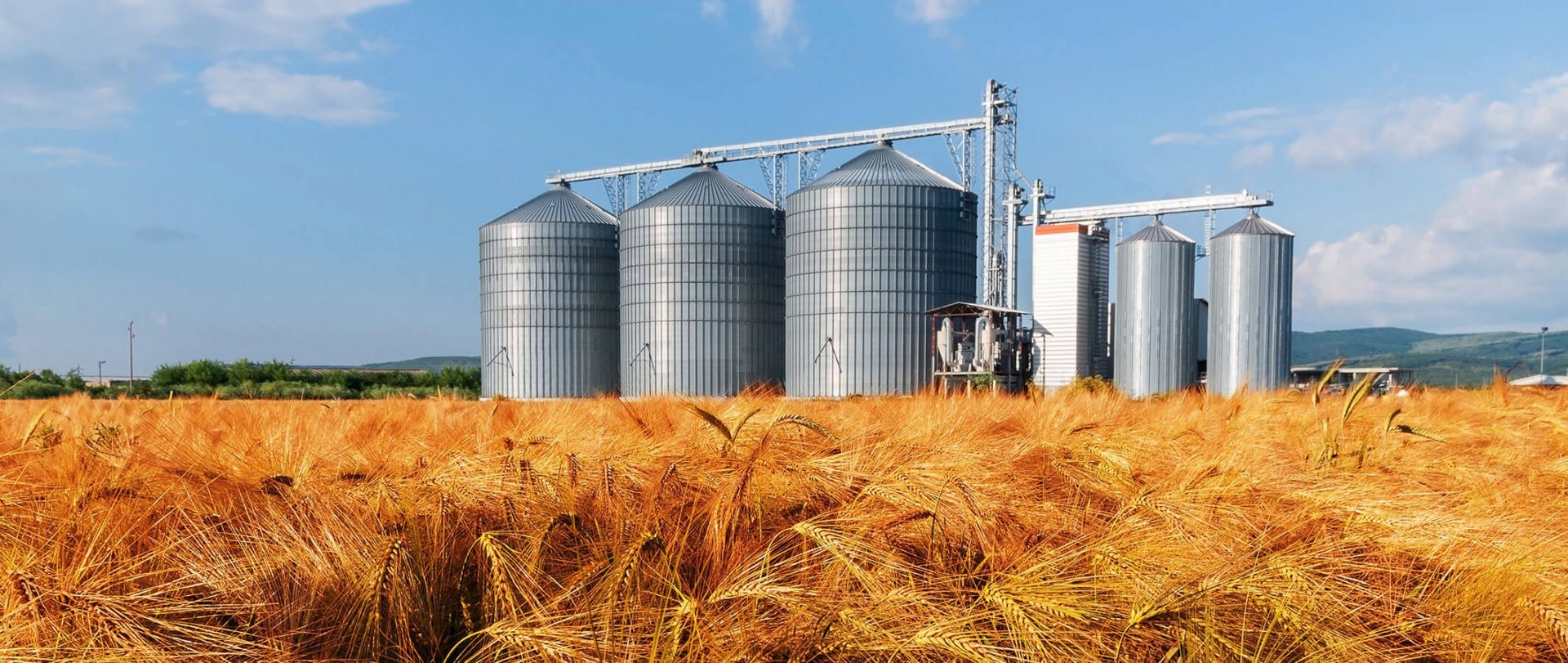 Grain logistics - Afluent