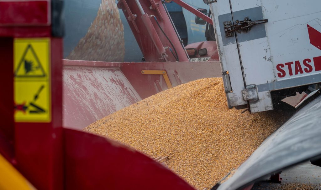 Home - Afluent Arad South Terminal: International intermodal transport